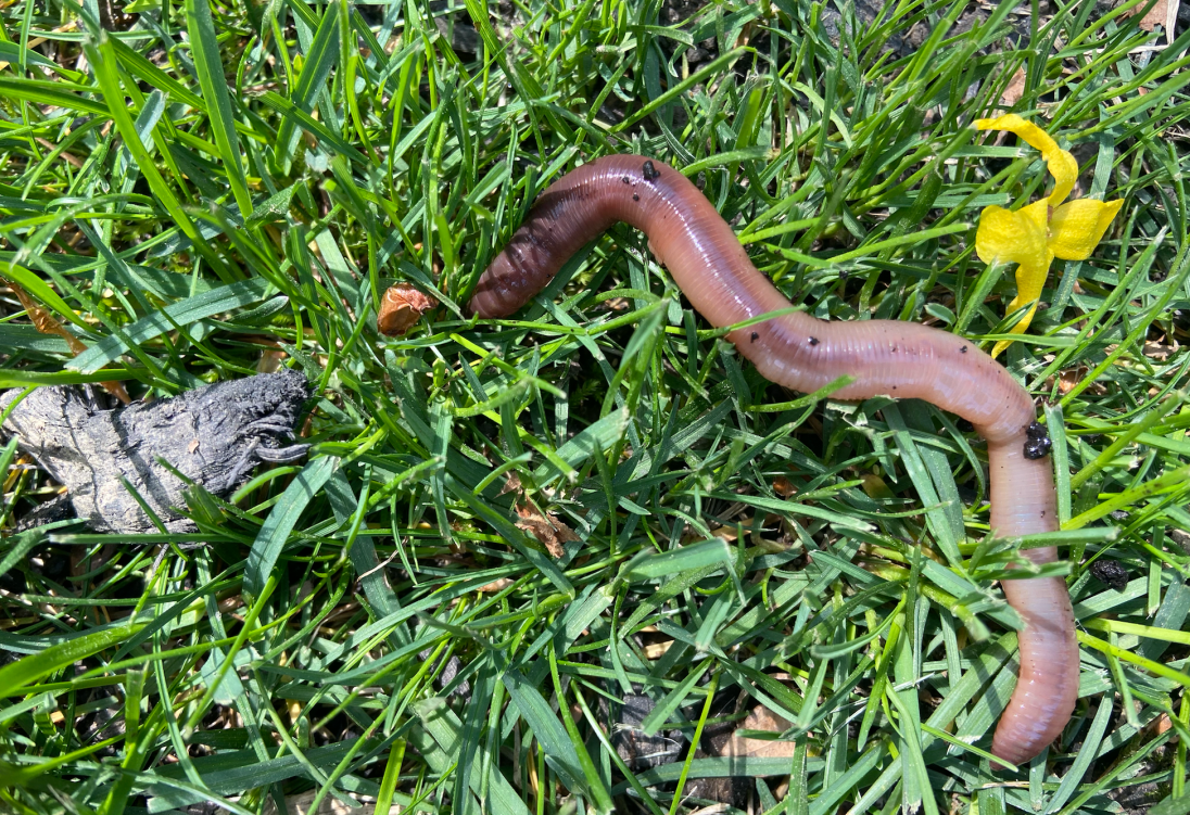 Fishing Tips, Tactics, Lures and Gear | Outdoor Life