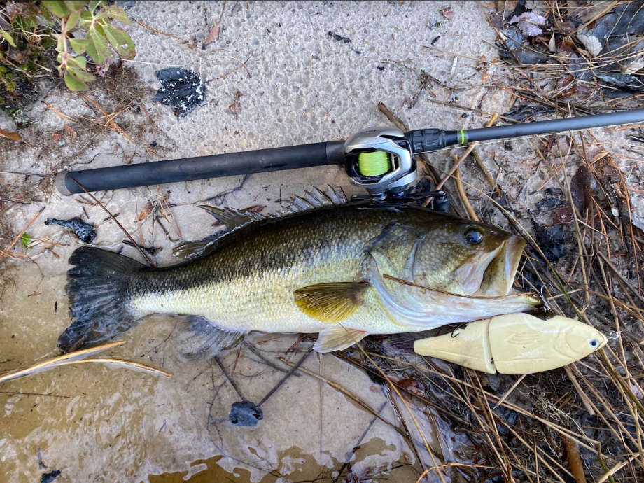 Glide Baits for Bass | Outdoor Life