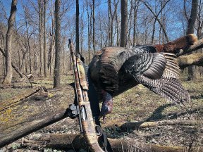 Where to Shoot a Turkey | Outdoor Life