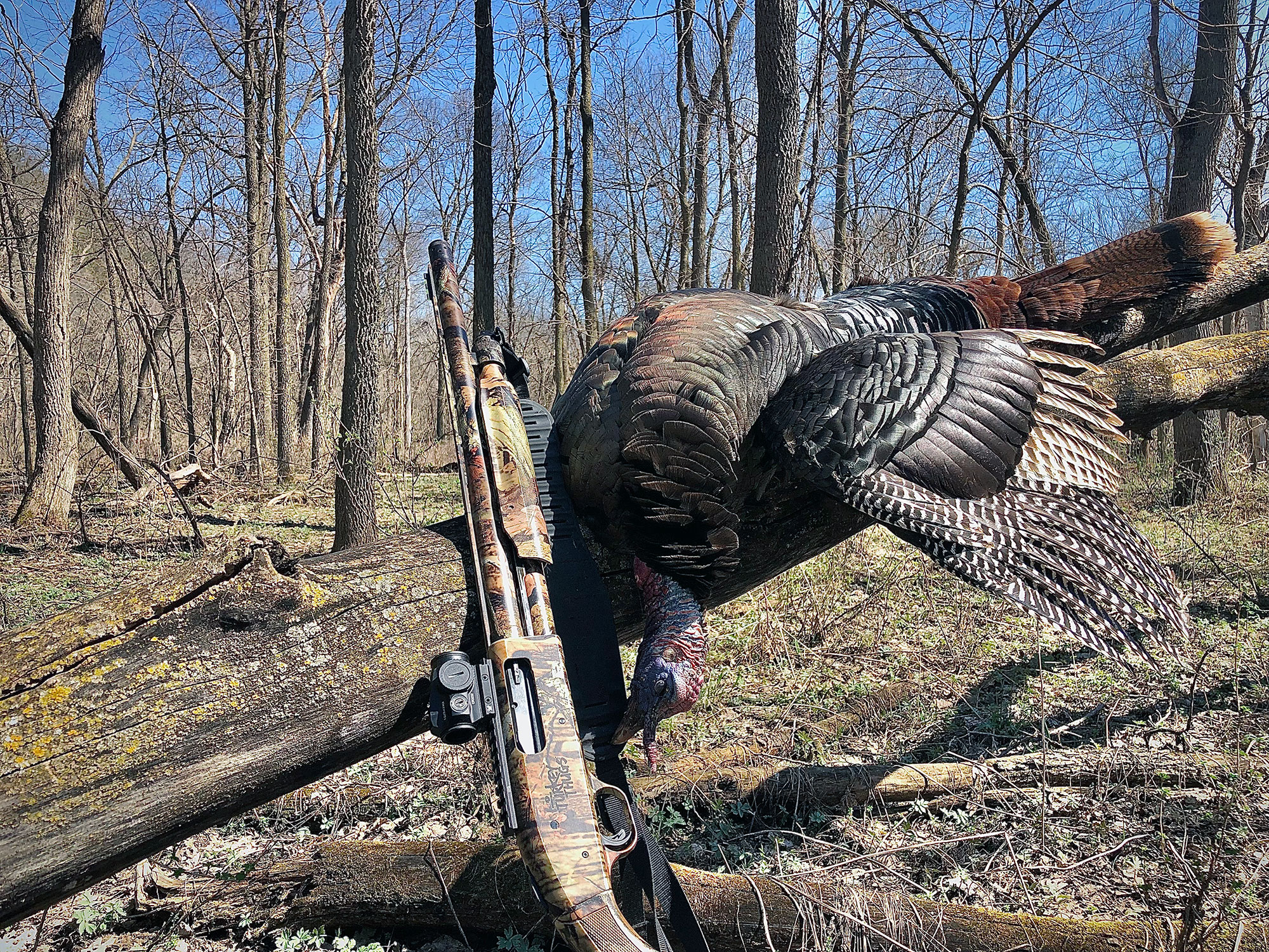 Where to Shoot a Turkey | Outdoor Life