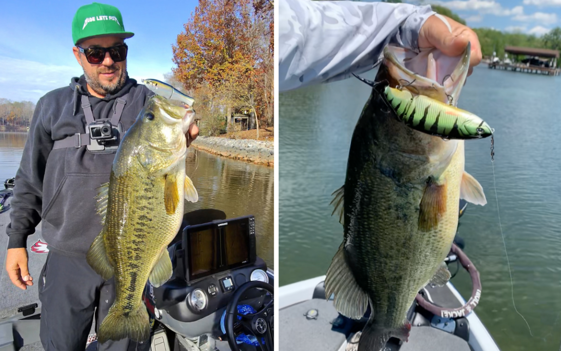 How to Fish Glide Baits: The Trendiest Way to Catch a Giant Largemouth ...