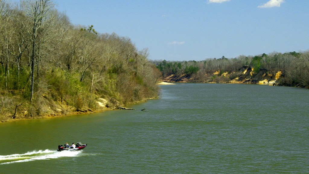 When Do Crappie Spawn Near You? Just Follow This Water Temp Guide