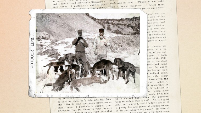 President Teddy Roosevelt Conserved Millions of Acres of Federal Lands ...