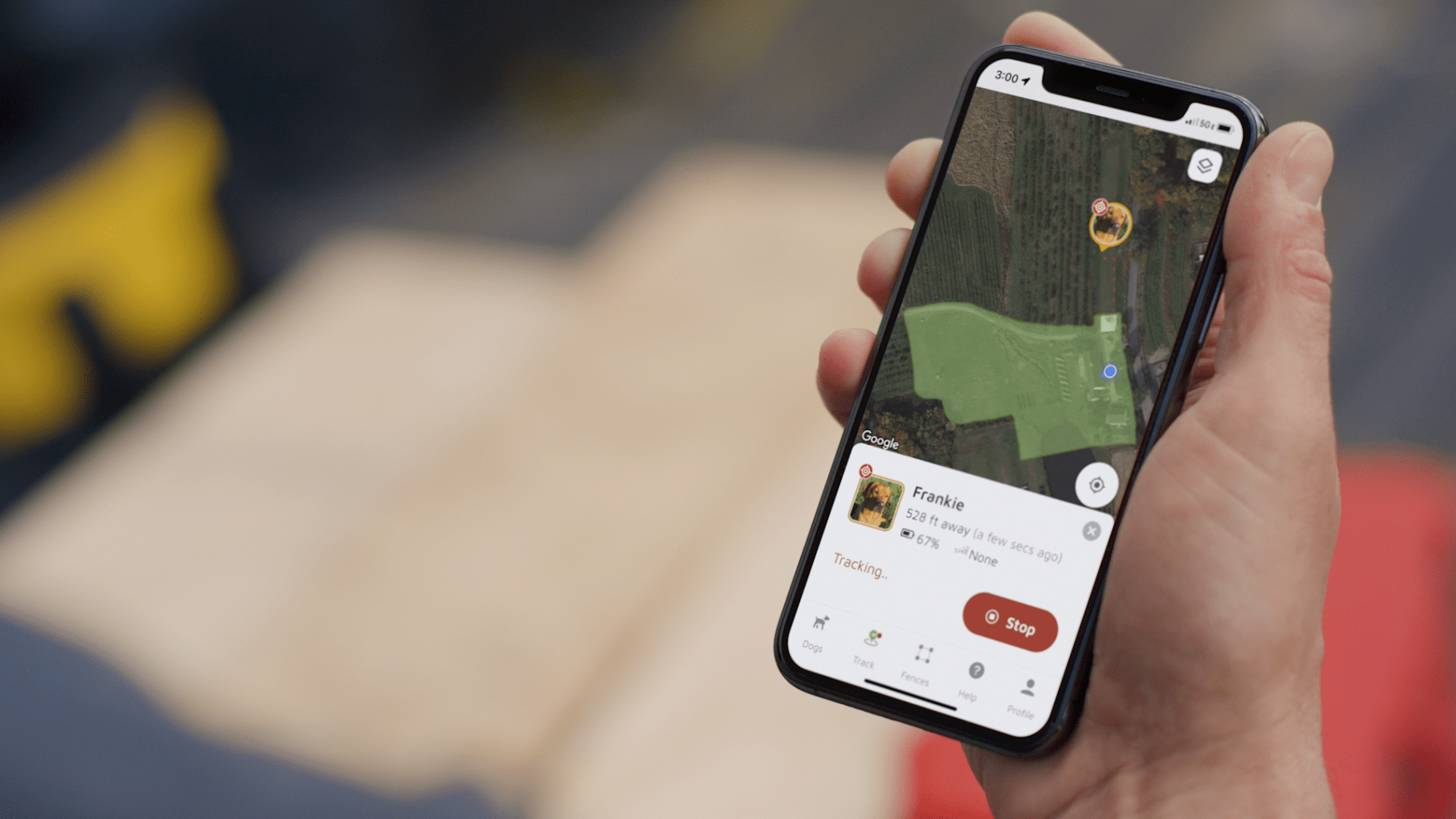 Seen my dog? | Outdoor Life