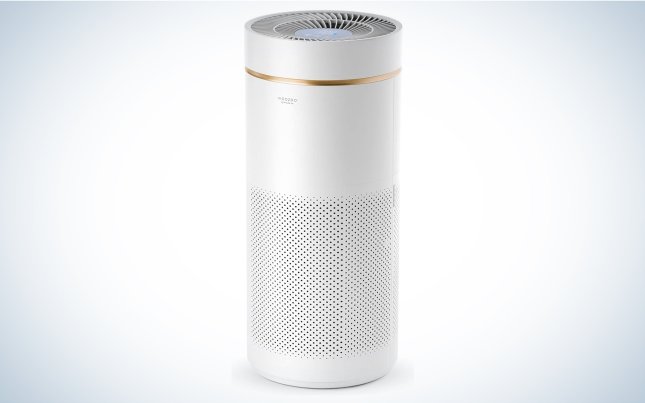 Best Air Purifiers for Smoke of 2024 | Outdoor Life