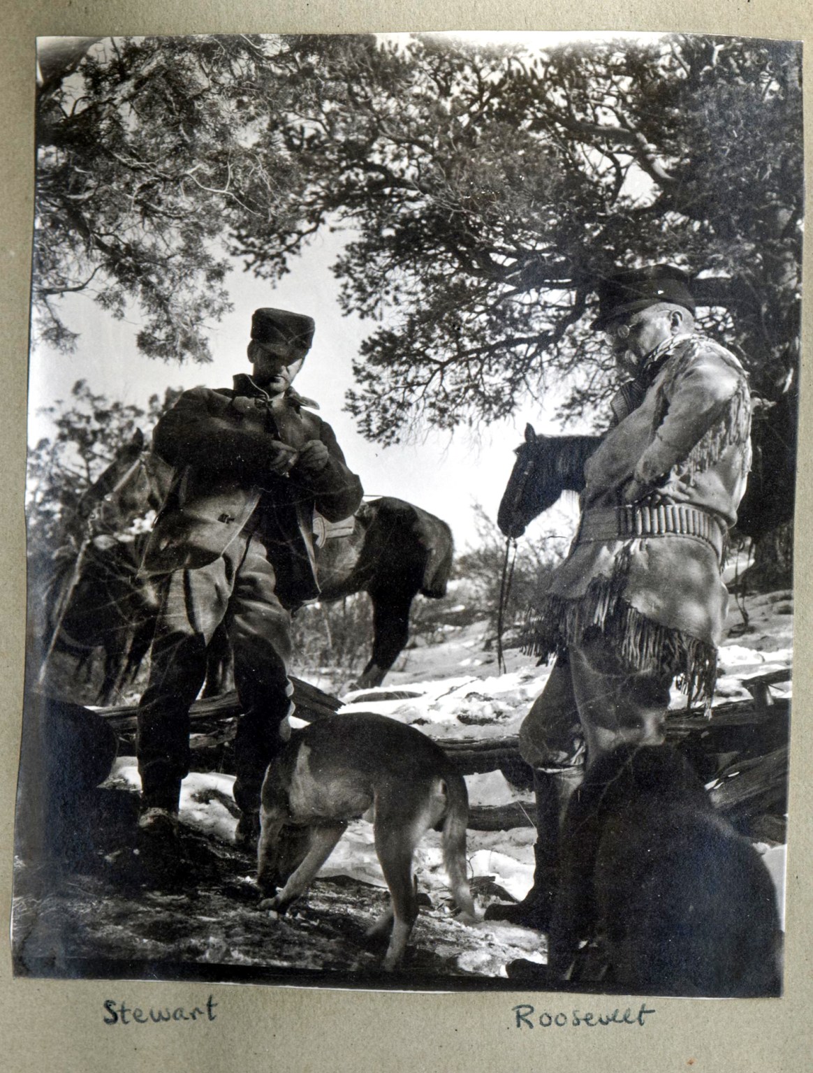 I Interviewed Teddy Roosevelt After His Wilderness Mountain Lion Hunt ...