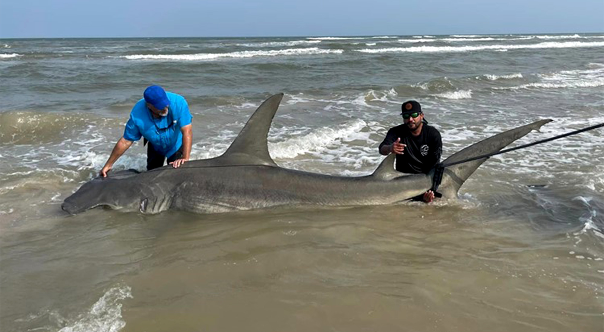 Texas Surf Anglers Land Half-Ton Hammerhead | Outdoor Life