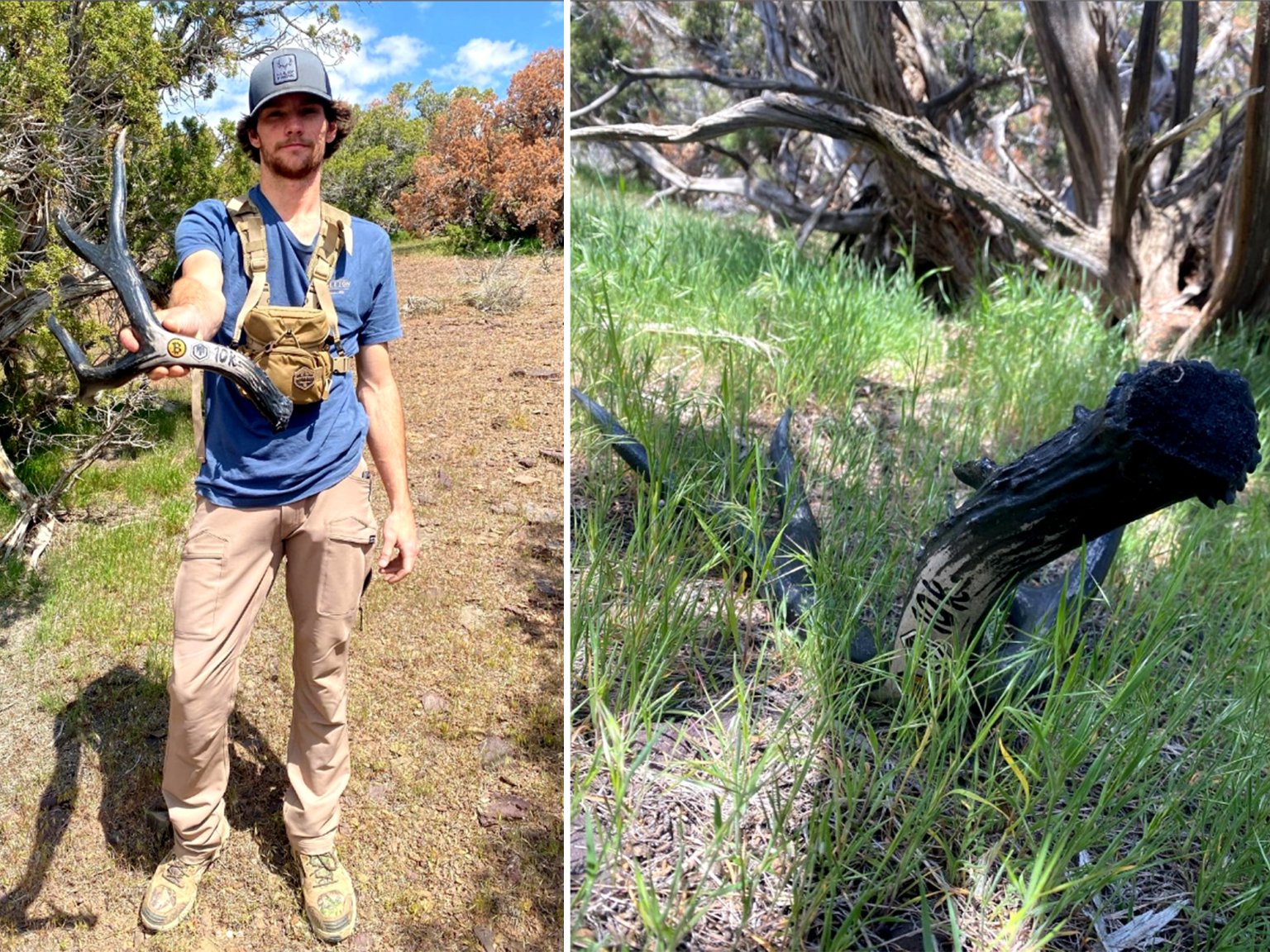 Utah Shed Hunter Finds $10K Mule Deer Antler | Outdoor Life