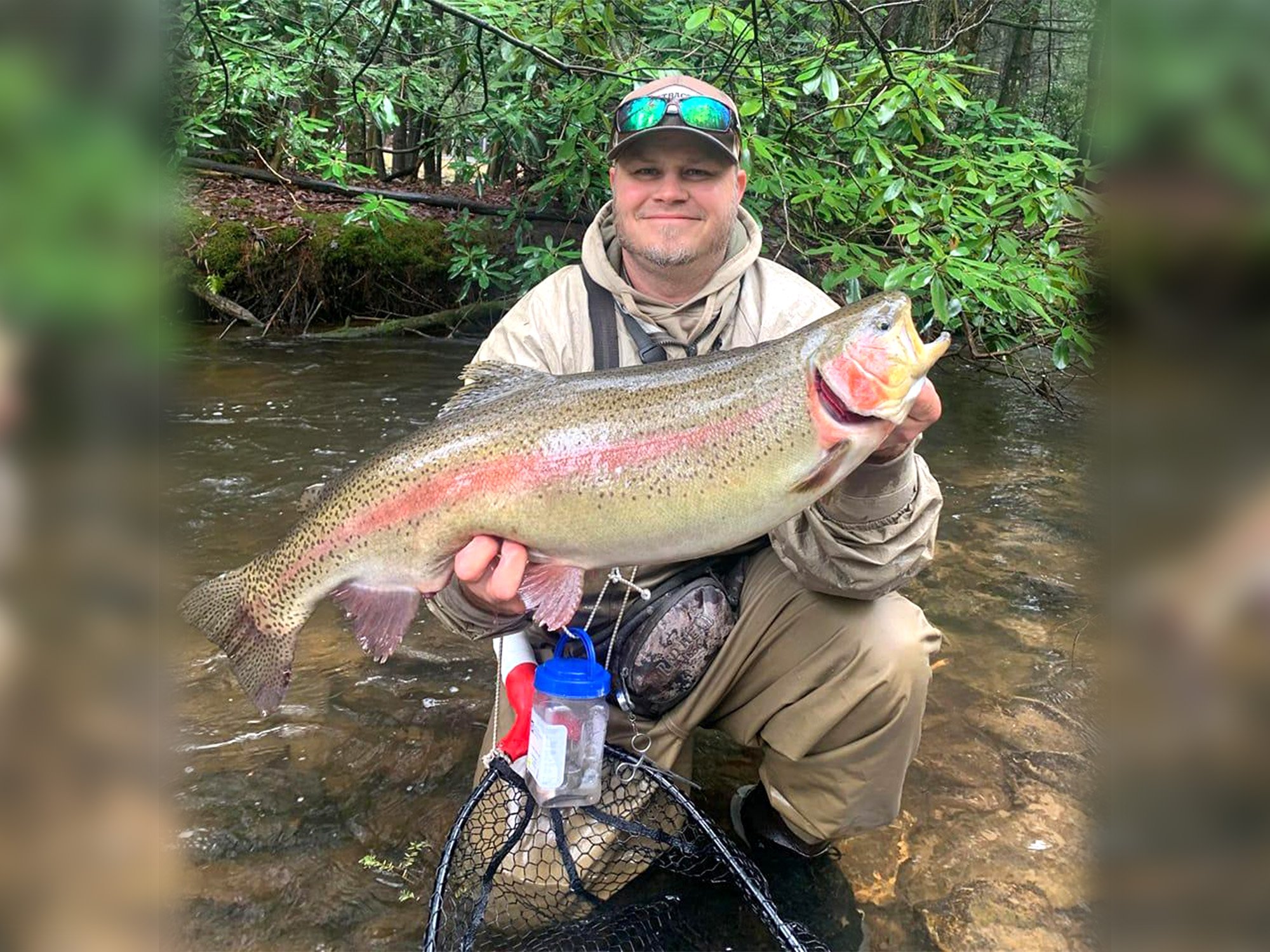 World Record Rainbow Trout Angler Lands Near World Record Brown Trout
