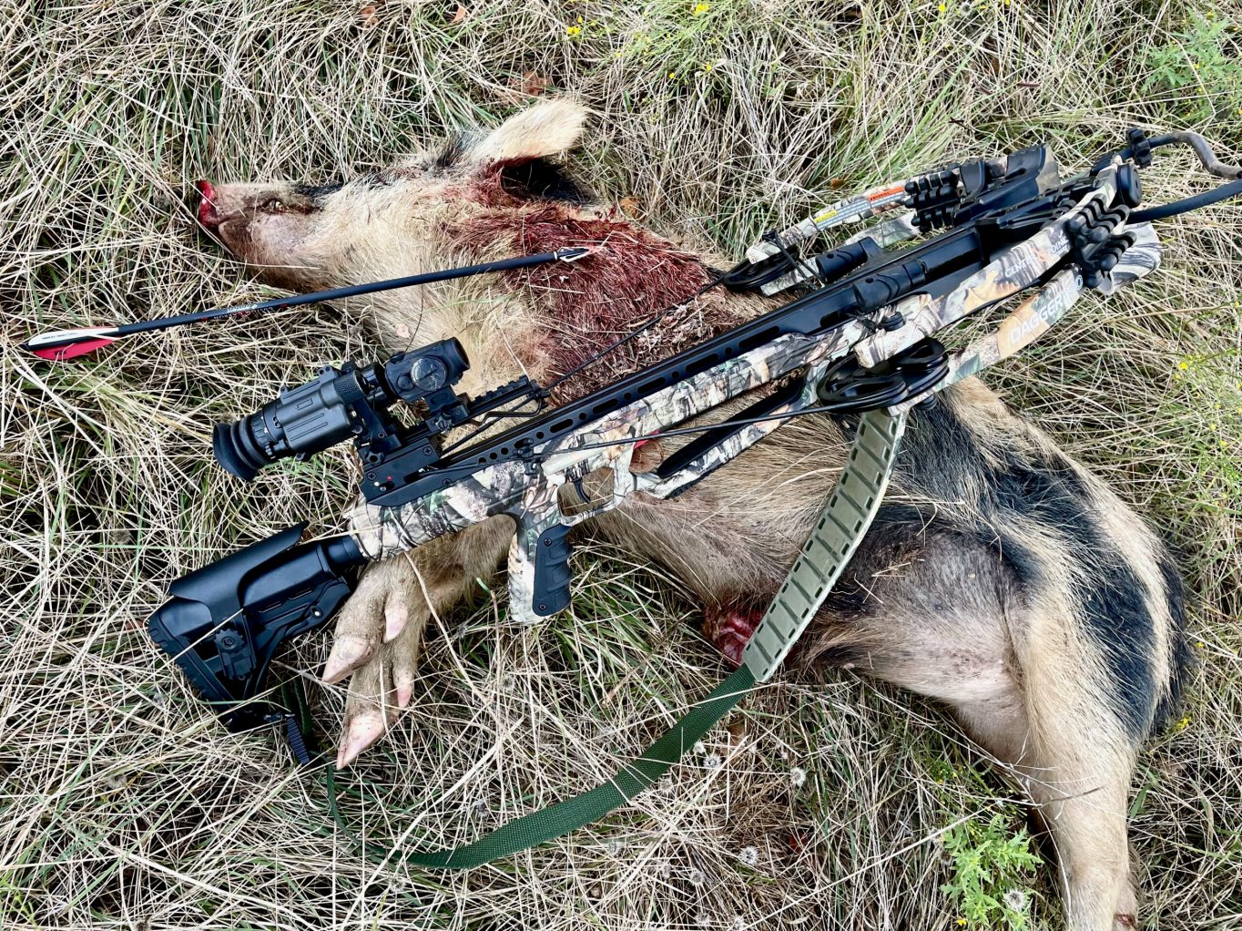 The Best Night Vision Scopes of 2026 | Outdoor Life