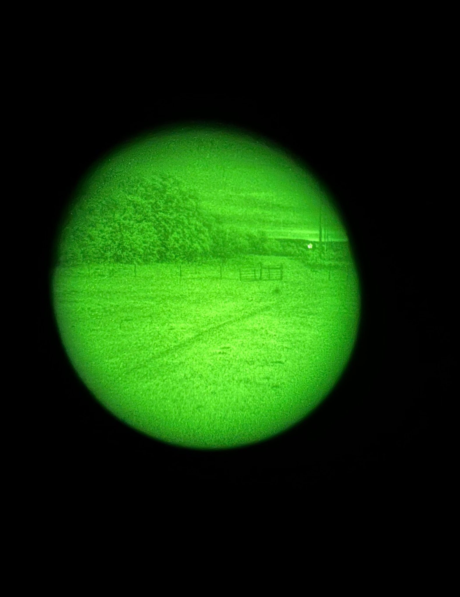 The Best Night Vision Goggles of 2025, According to Experts | Outdoor Life