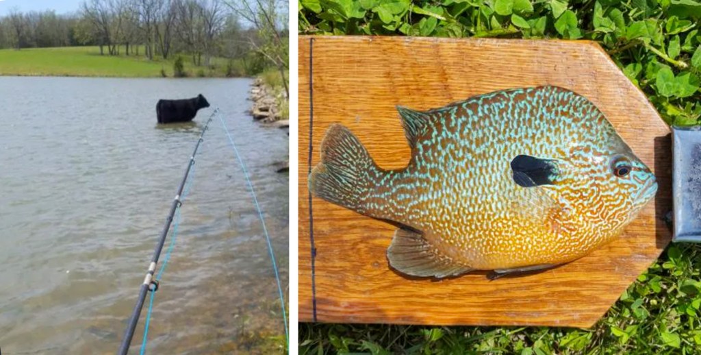 Panfish Fishing | Outdoor Life