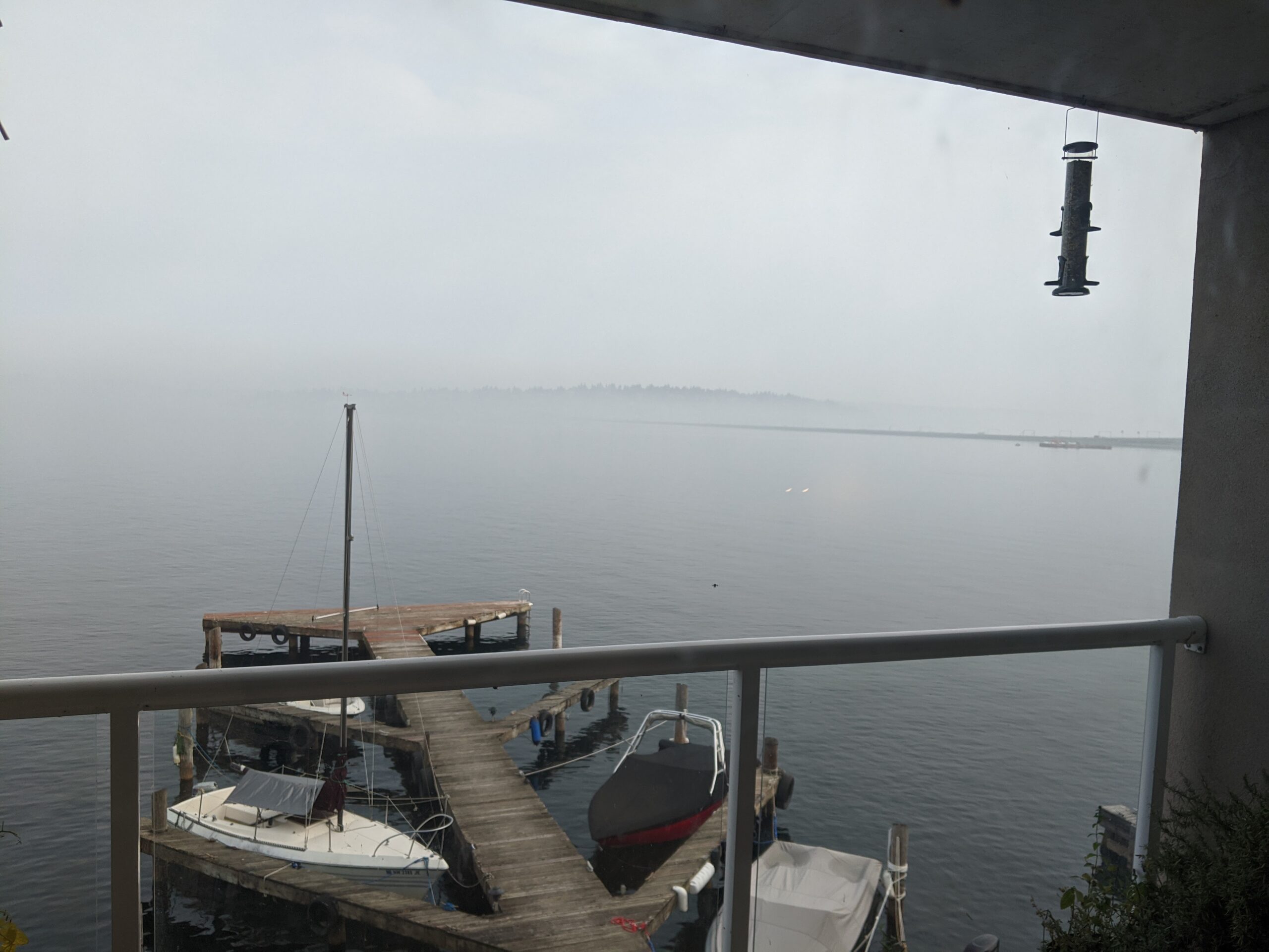 Best Air Purifiers for Smoke of 2024 | Outdoor Life