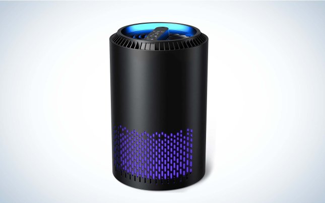 Best Air Purifiers for Smoke of 2024 | Outdoor Life