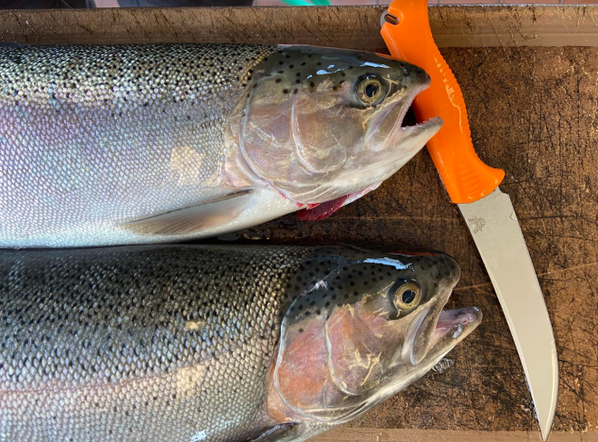 How to Bleed a Fish | Outdoor Life