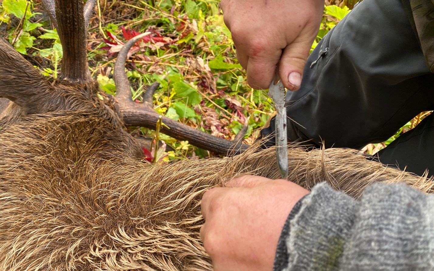 Best Knives for Field Dressing | Outdoor Life