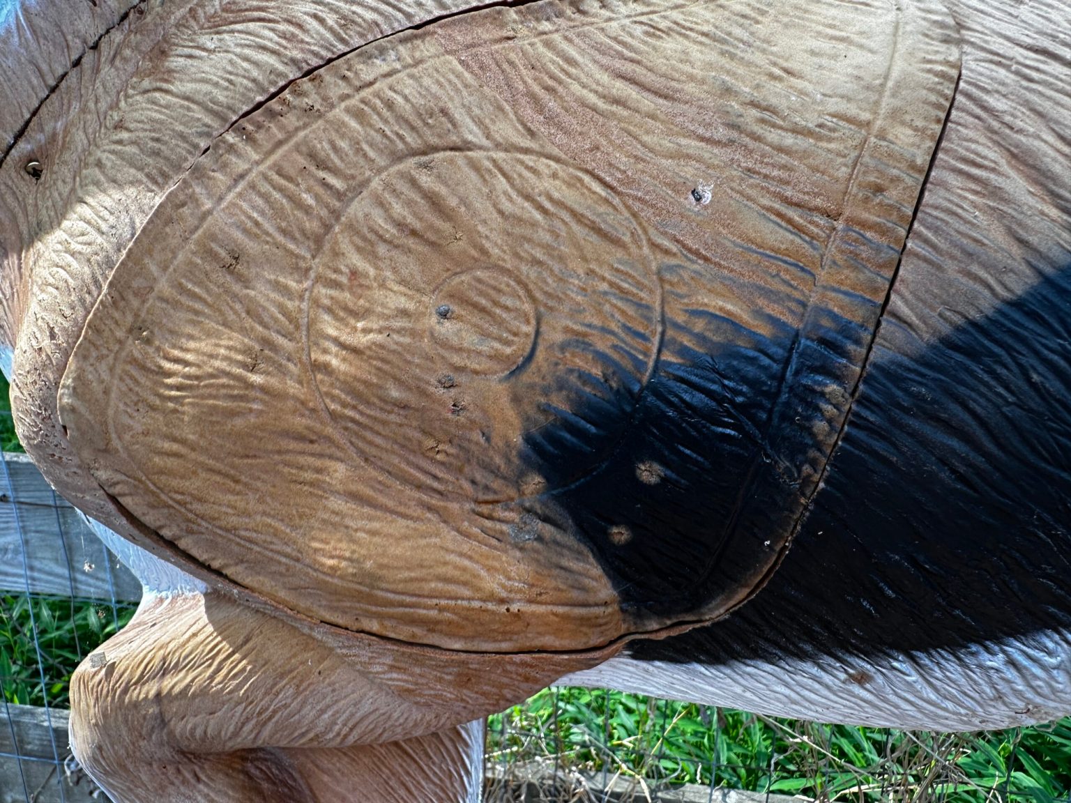 Vortex Triumph HD Review: The Best Deal in Binos? | Outdoor Life