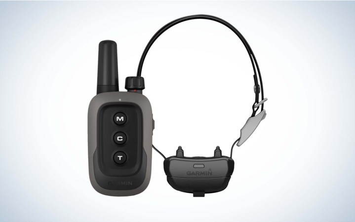 Best Invisible Dog Fences of 2024 | Outdoor Life