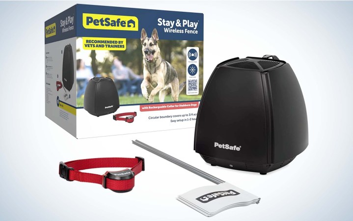 Best Invisible Dog Fences of 2024 | Outdoor Life