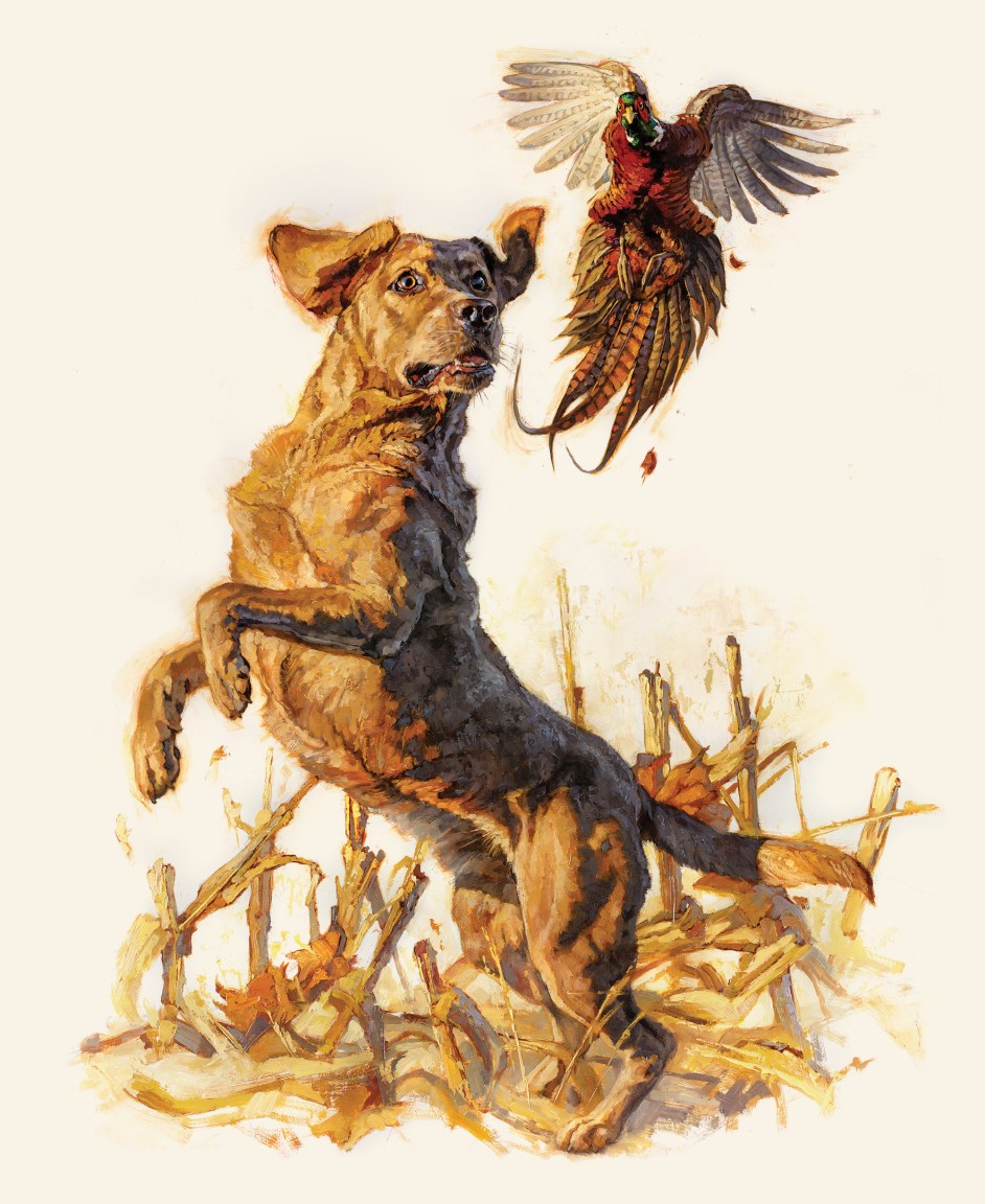 6 Incredible Stories About the Greatest Hunting Dogs We've Ever Had