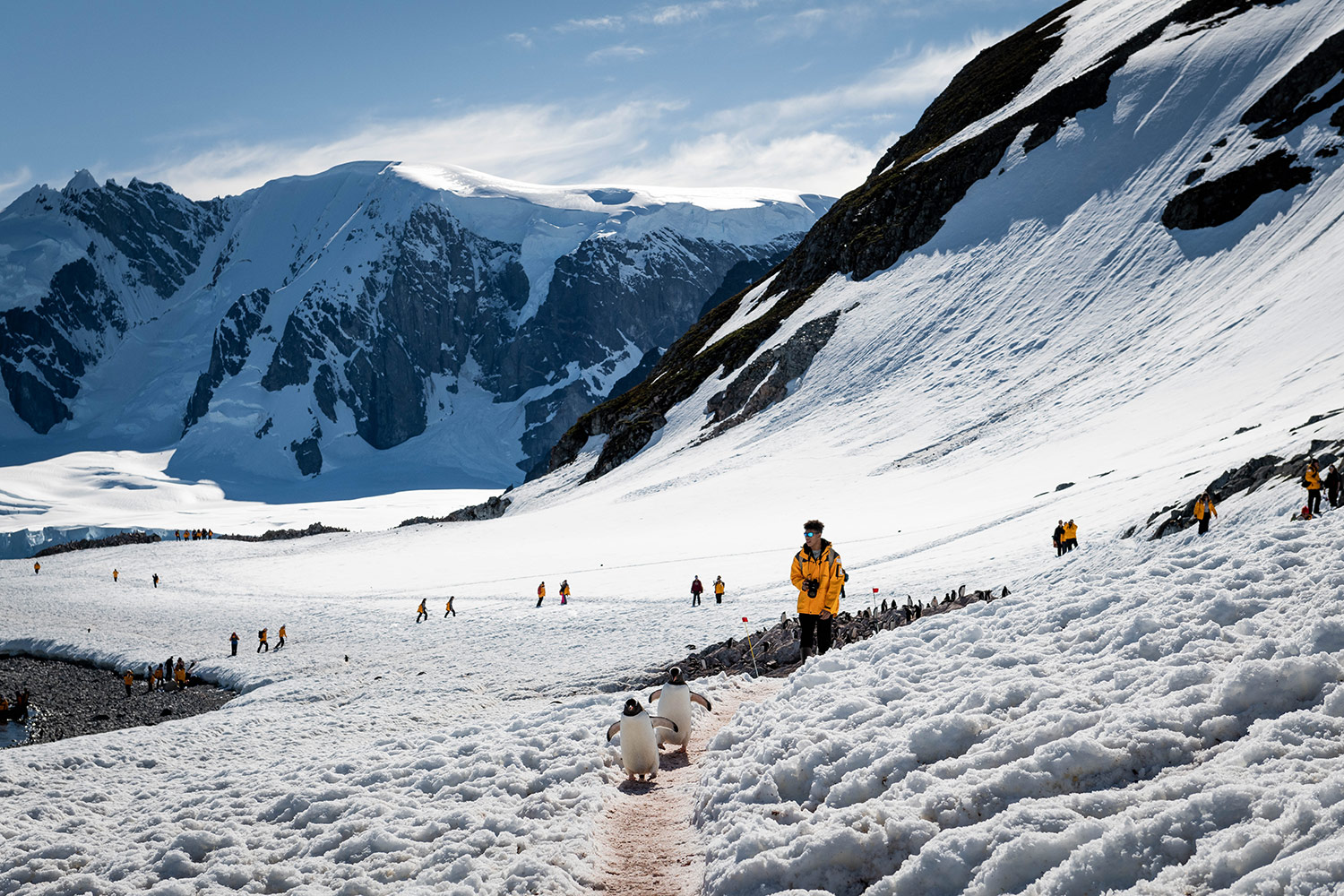 Antarctica Will Be Our Last, Most Elusive Wilderness | Outdoor Life