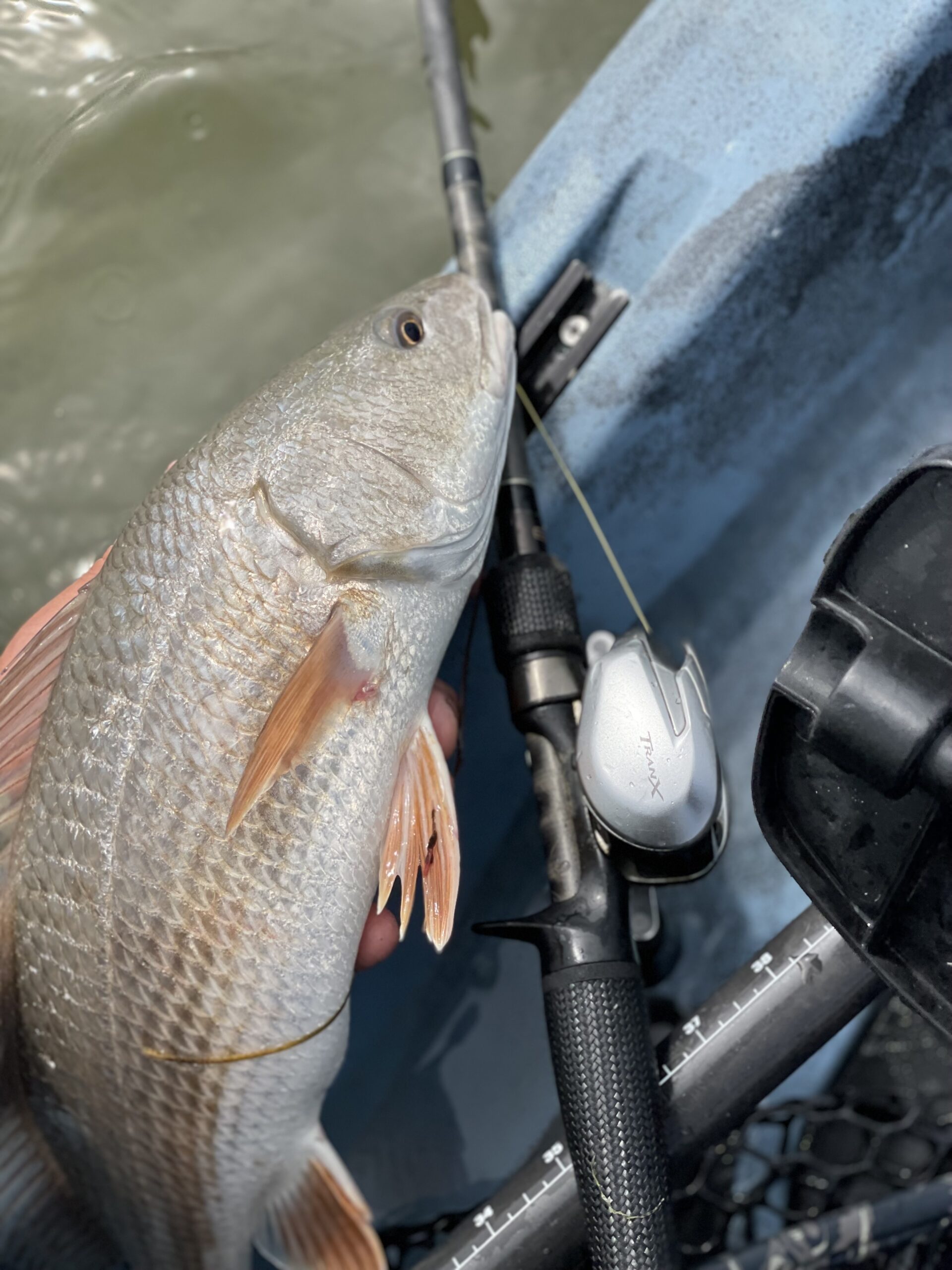 Best Baitcaster Combos of 2024 | Outdoor Life