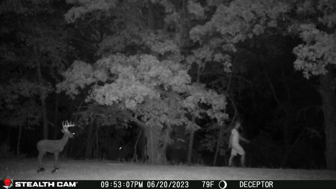 Best Cellular Trail Cameras of 2024, Tested and Reviewed