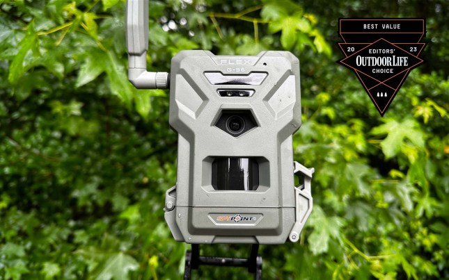 Best Budget Trail Cameras, Tested | Outdoor Life