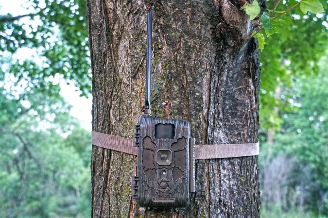 Best Cellular Trail Cameras of 2024, Tested and Reviewed