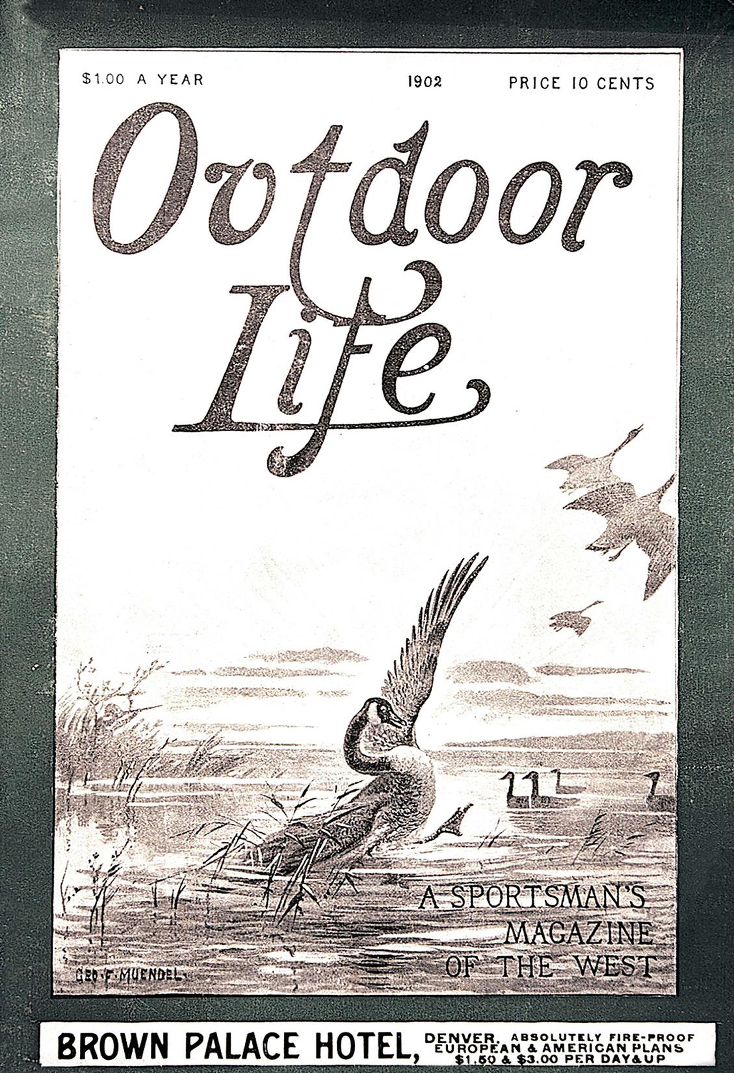 The Best Outdoor Life Covers Through the Decades | Outdoor Life