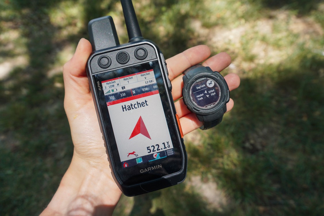 Best GPS Dog Collars of 2026, Tested and Reviewed | Outdoor Life