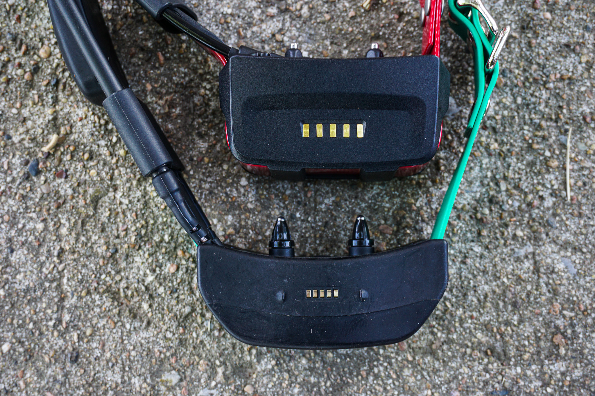 Best GPS Dog Collars of 2023 | Outdoor Life