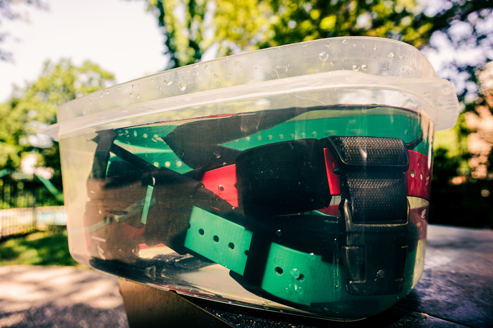 Best GPS Dog Collars of 2024, Tested and Reviewed | Outdoor Life