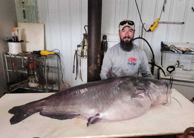 101-Pound Blue Catfish Caught on Jugline Is Officially the New Ohio Record | Outdoor Life
