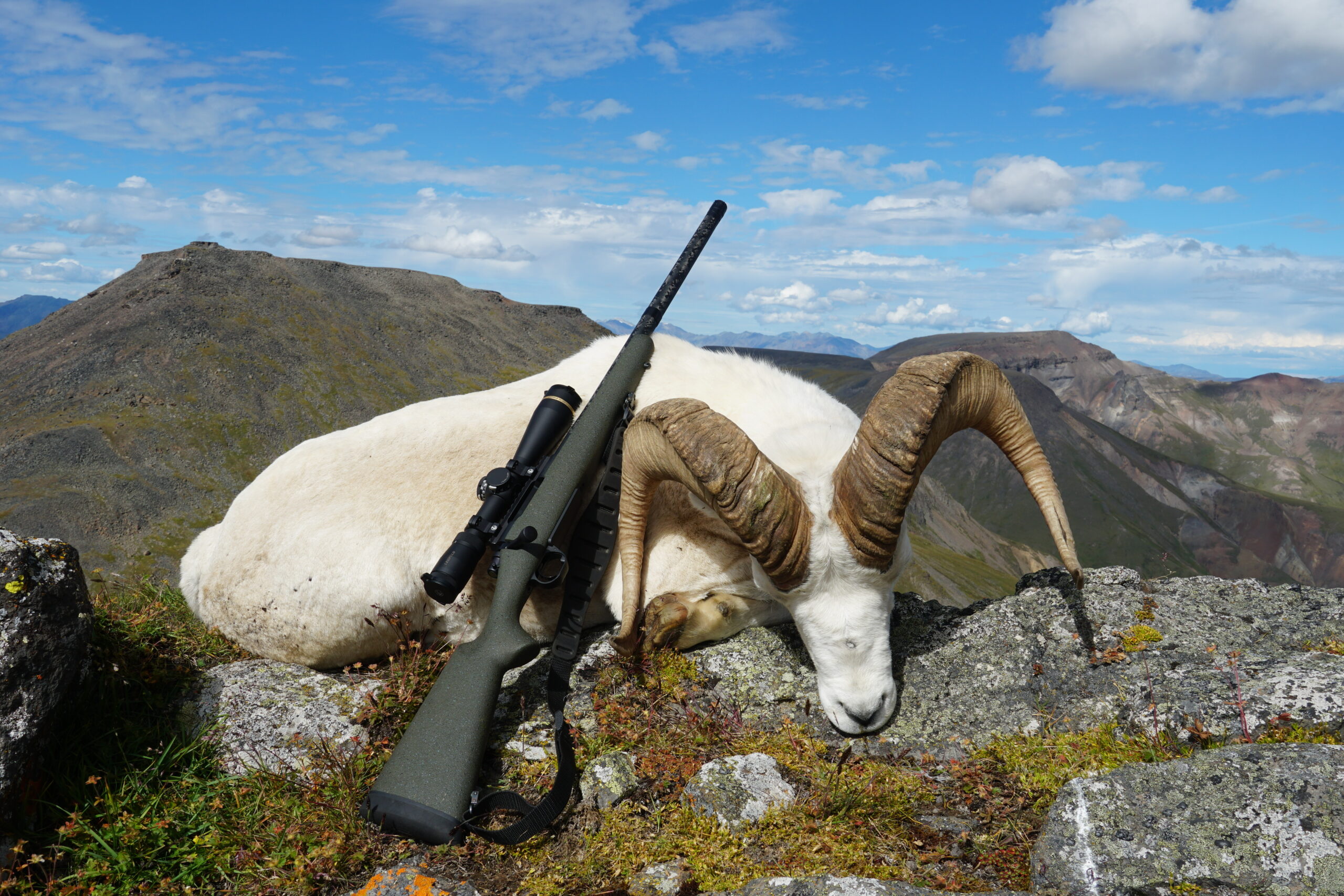Best Long Range Rifles of 2024 | Outdoor Life