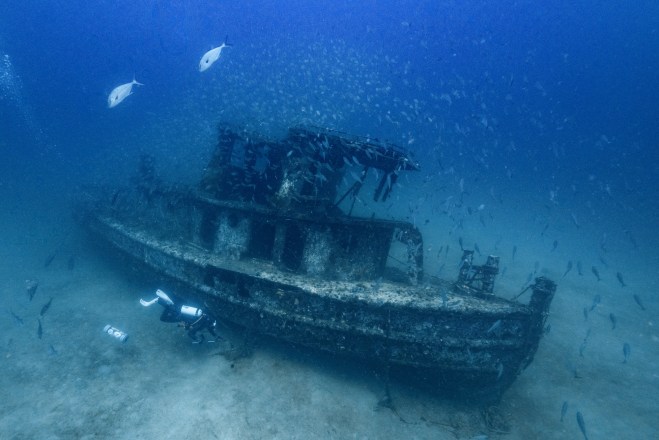Photos: These Lionfish Divers Are Defending Florida Reefs — by Spearing ...