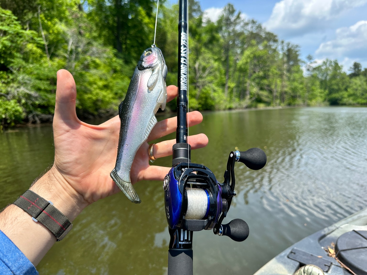 Best Swimbait Rods of 2025, Tested and Reviewed