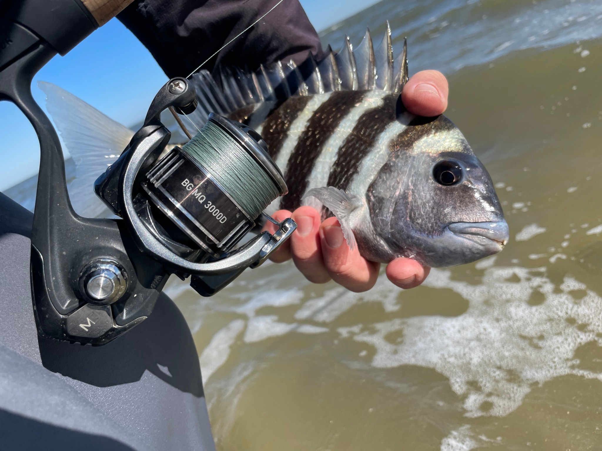 Best Inshore Spinning Reels of 2025, Tested and Reviewed