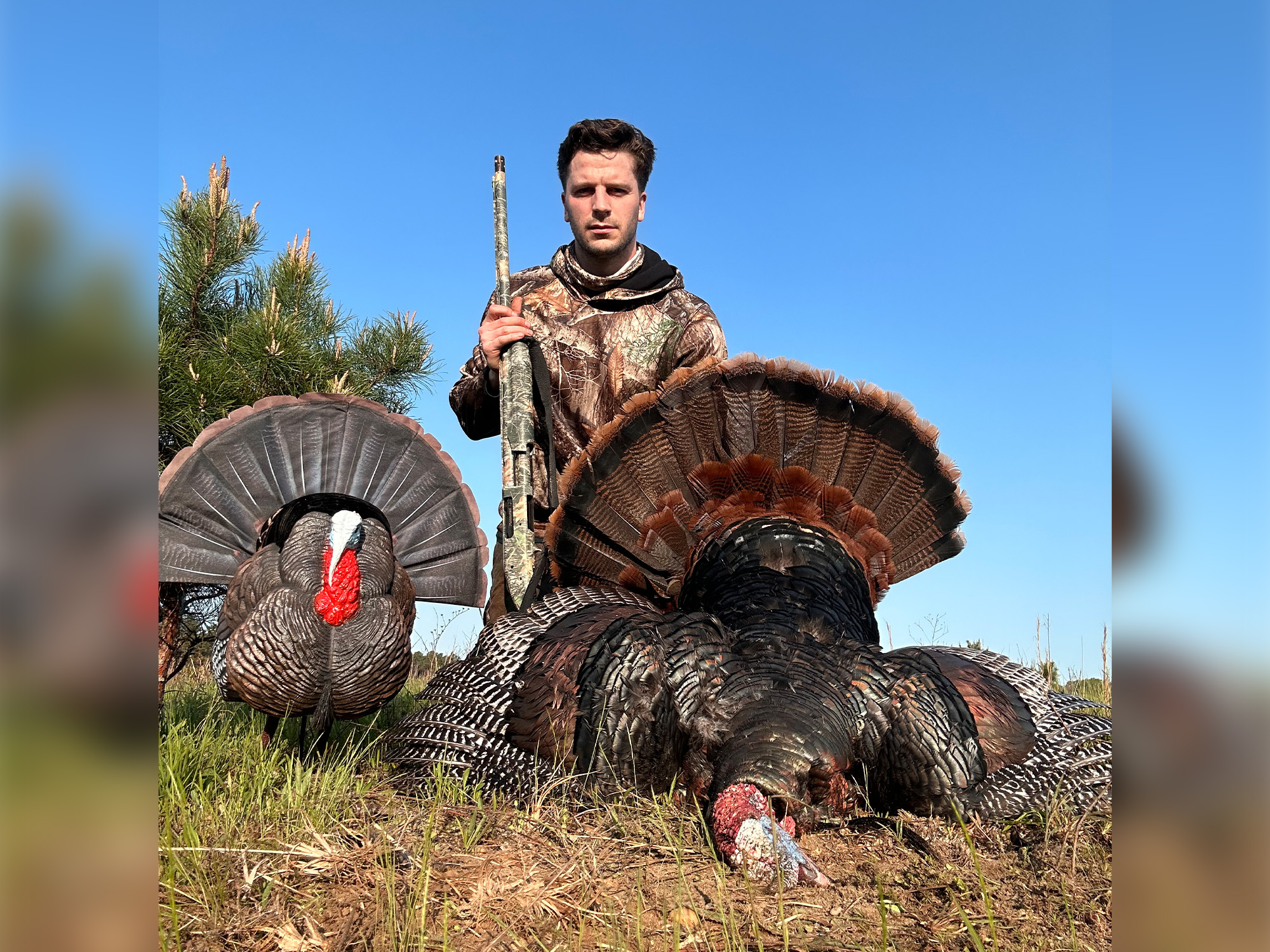 biggest turkey beard