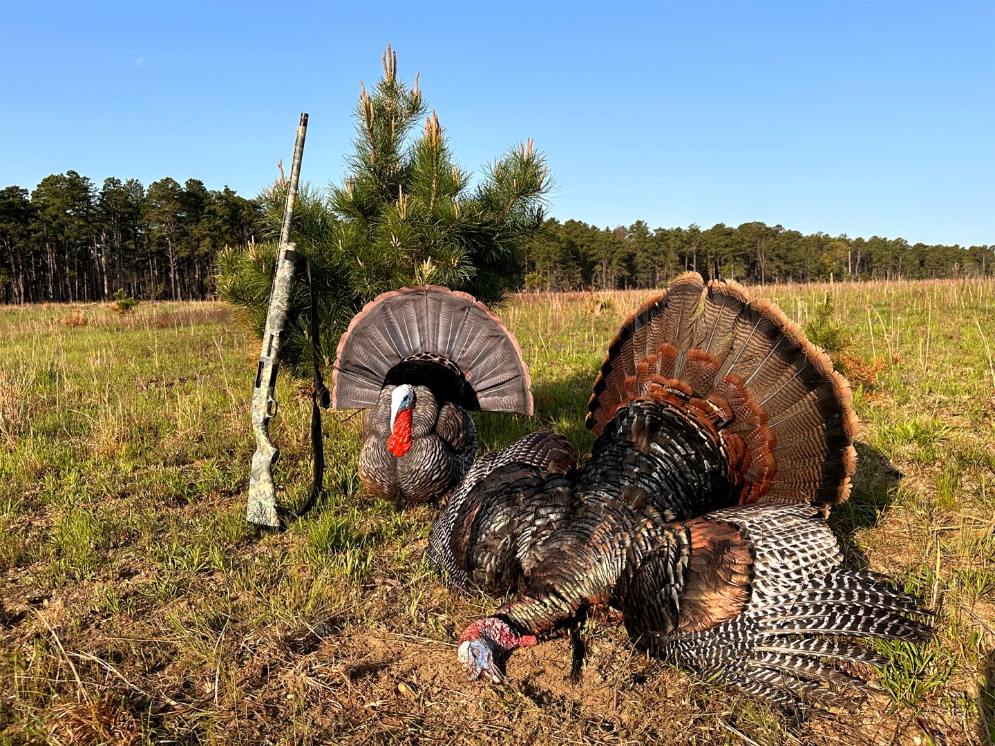 First-Time Turkey Hunter Tags State-Record Gobbler | Outdoor Life