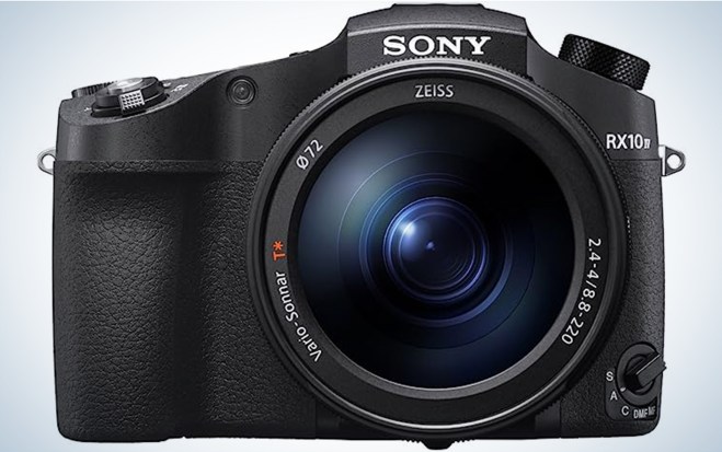 Best Cameras for Wildlife Photography | Outdoor Life