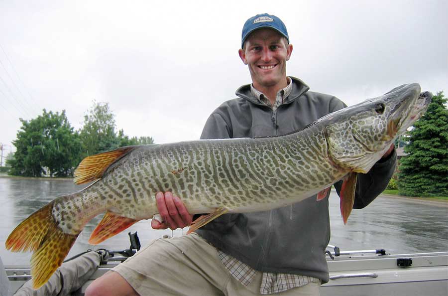 Muskie vs Pike: An Angler's Guide | Outdoor Life