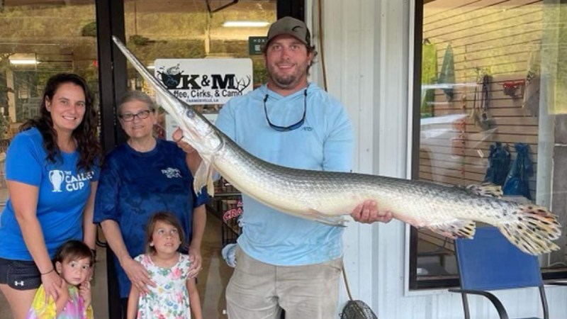 Nearly 300-Pound Alligator Gar Should Break World Record | Outdoor Life