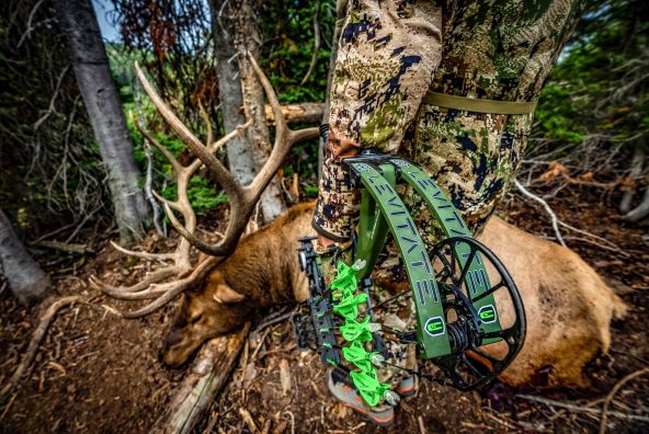 Where to Shoot an Elk With a Bow | Outdoor Life