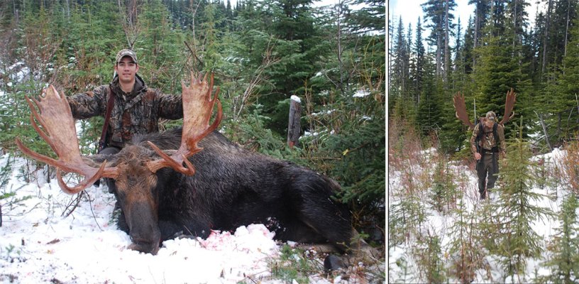 How Big Is a Moose? | Outdoor Life