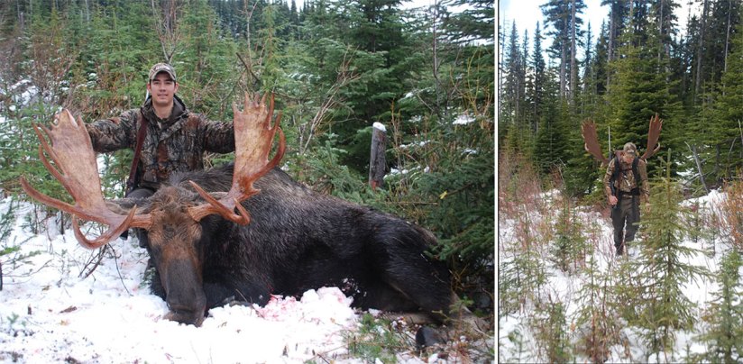 How Big Is a Moose? | Outdoor Life
