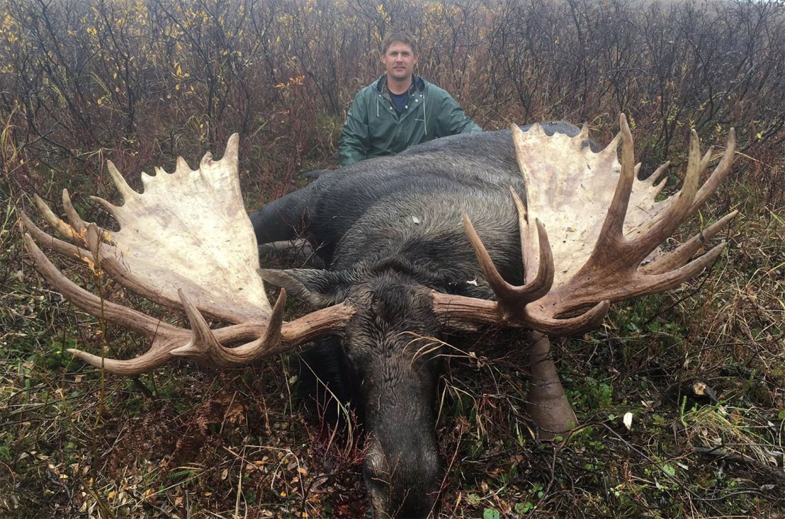 How Big Is a Moose? | Outdoor Life