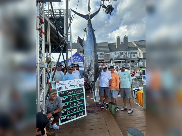 Michael Jordan's Team Places Third in Marlin Fishing Tournament ...