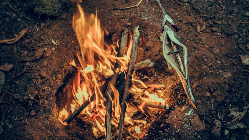 How to Cook Trout Outside | Outdoor Life