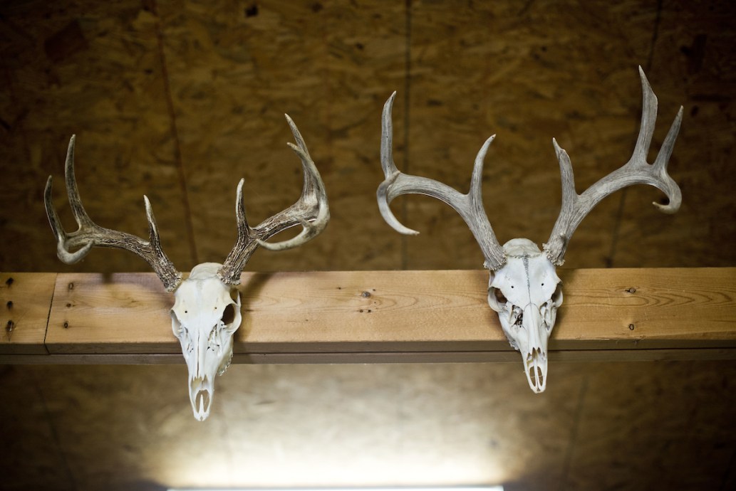 Deer Hunter Success Varies Widely by State, Report Shows | Outdoor Life